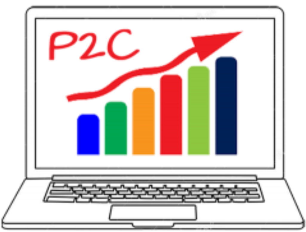 P2C – P2C Professional – Consulenza qualificata per Enti e Imprese
